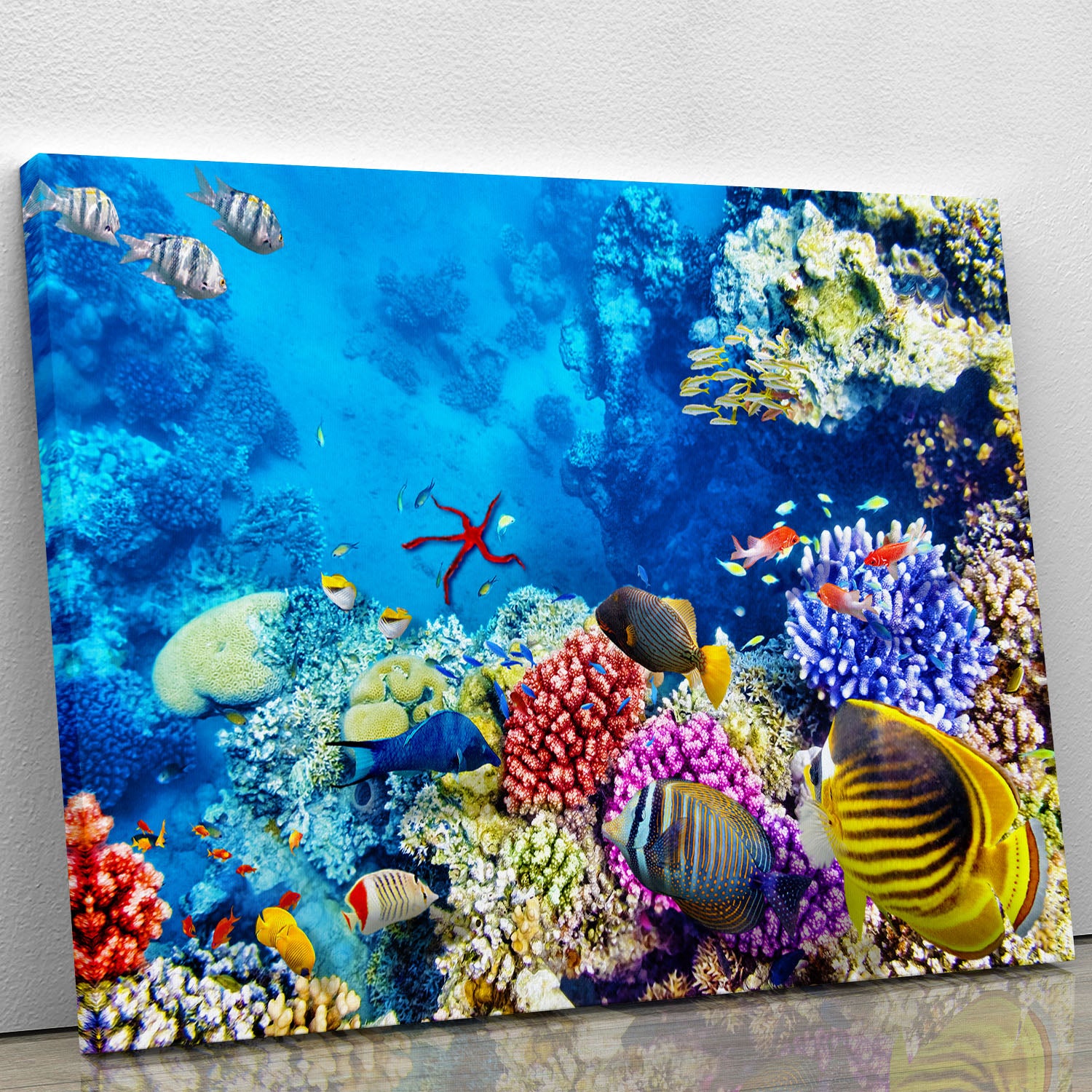 Tropical fish Canvas Print or Poster | Canvas Art Rocks