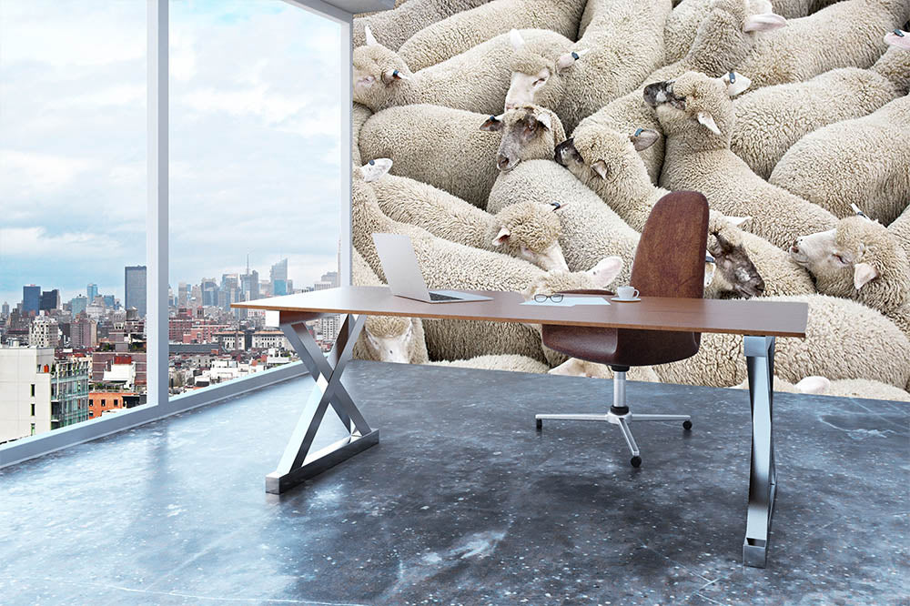 Herd of sheep on a truck Wall Mural Wallpaper | Canvas Art Rocks